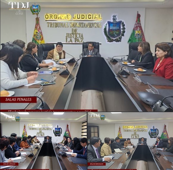 | Tribunal Departamental de Justicia de La Paz